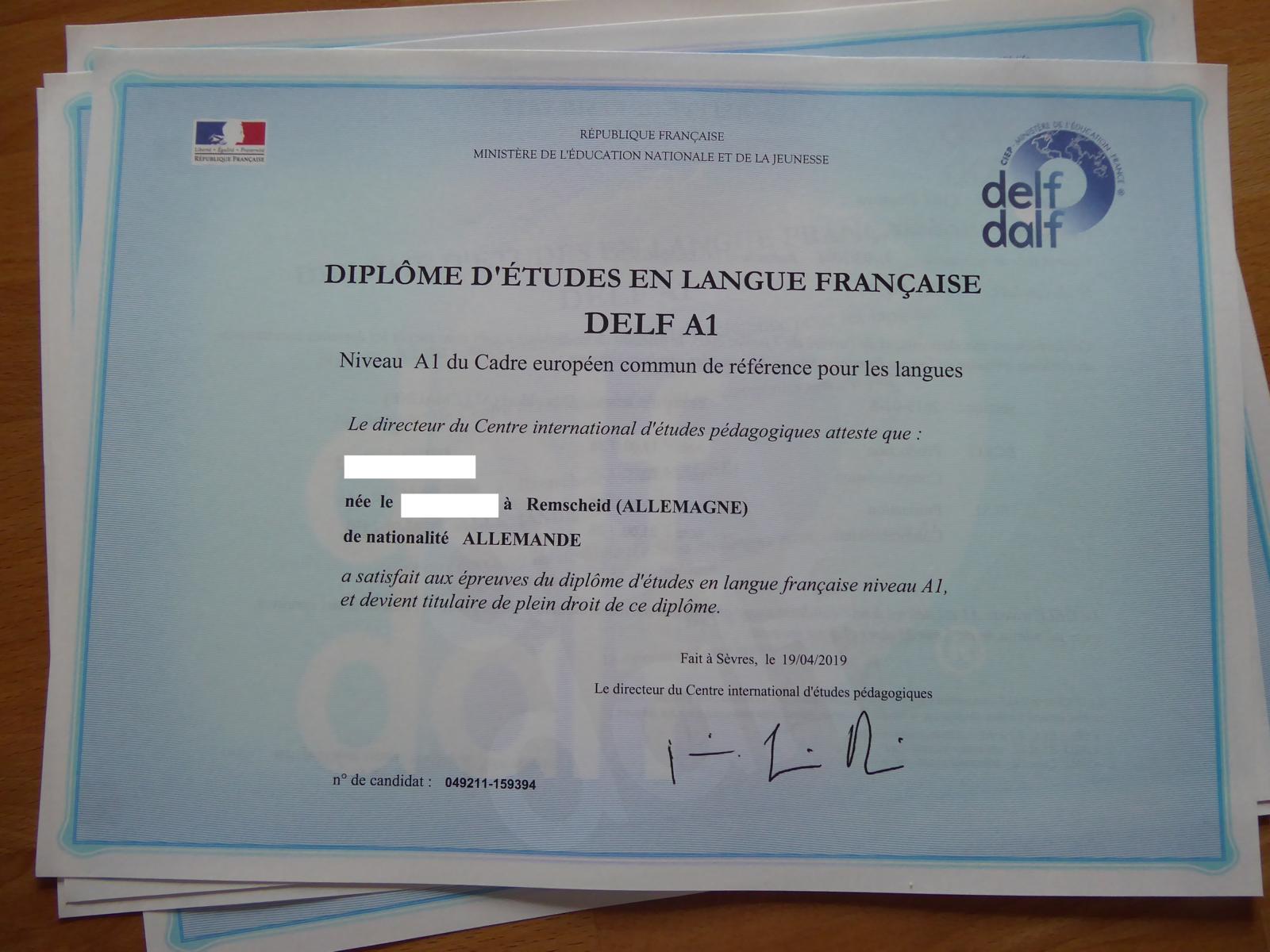 DELF 2019: 21 Diplômes d’Etudes en Langue Française – Albert-Schweitzer ...